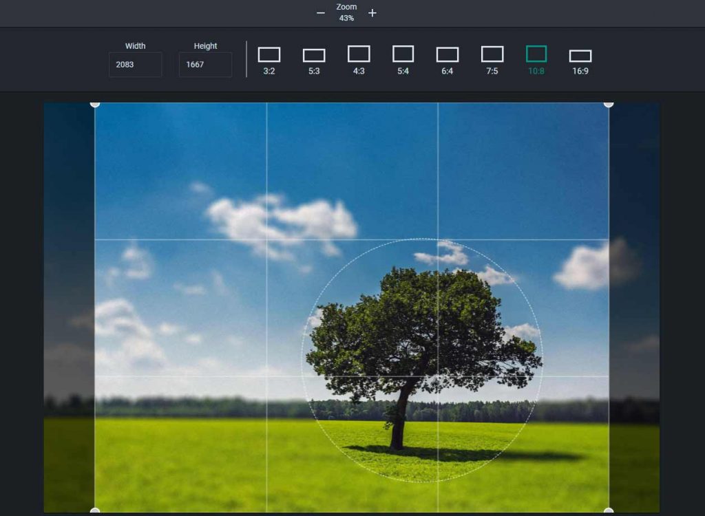 Cropping And Resizing - FotoFlexer