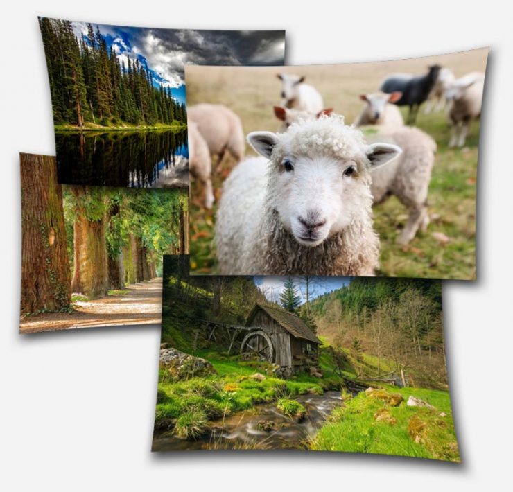 FotoFlexer - Free Online Photo Editor